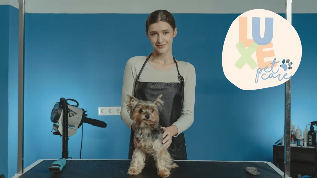 Invertir en Luxe Pet Care ¿una decisión inteligente? (2024) - Interlink